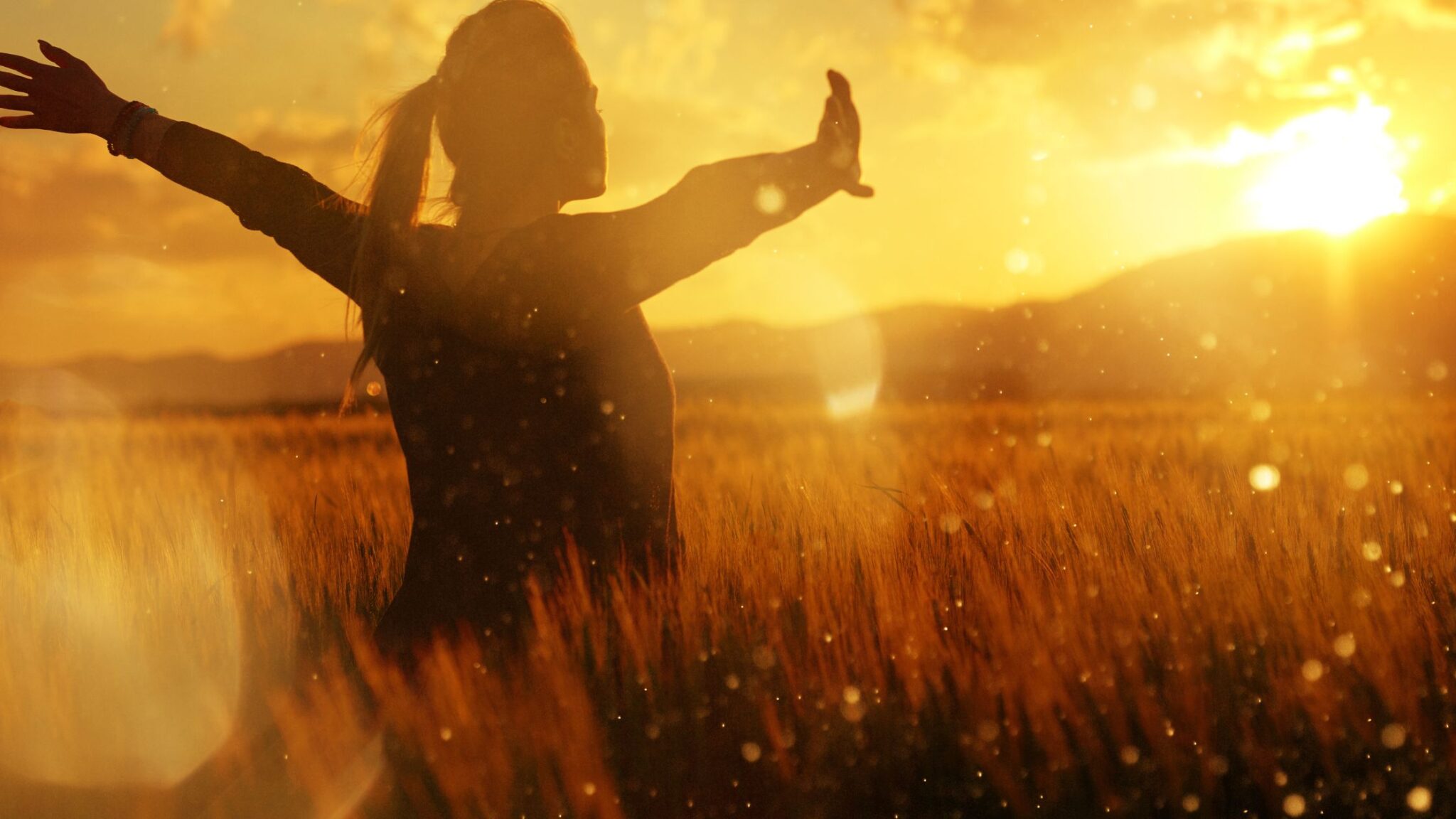 Navigating the Soul’s Journey: A Guide to Emotional and Spiritual ...